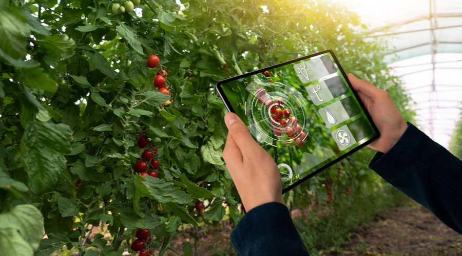 Inteligencia artificial en la agricultura: aumenta la productividad y ...